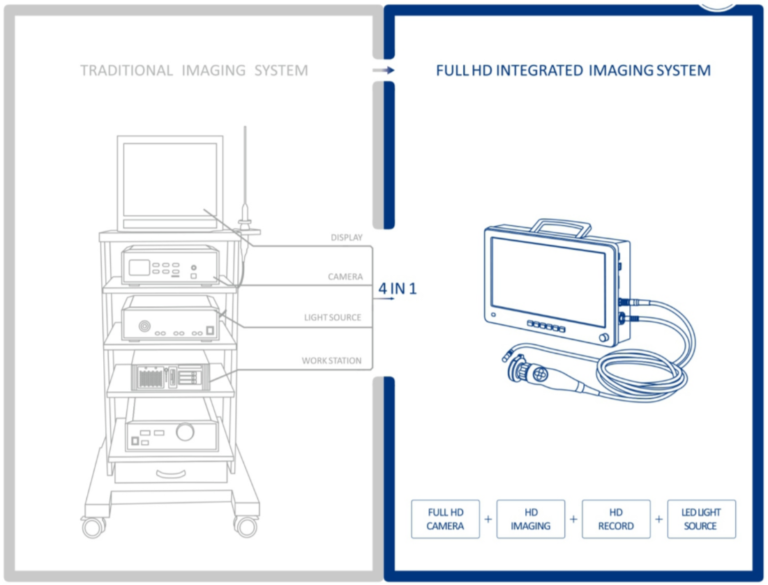 Integrated Endoscopy Imaging System for Veterinary Diagnosis - EasiMed