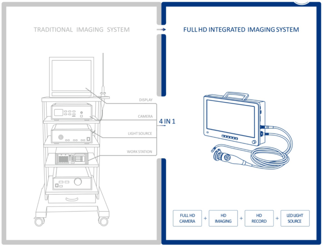 Integrated Endoscopy Imaging System for Veterinary Diagnosis - EasiMed