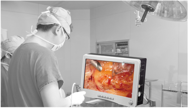Integrated Endoscopy Imaging System for Veterinary Diagnosis - EasiMed