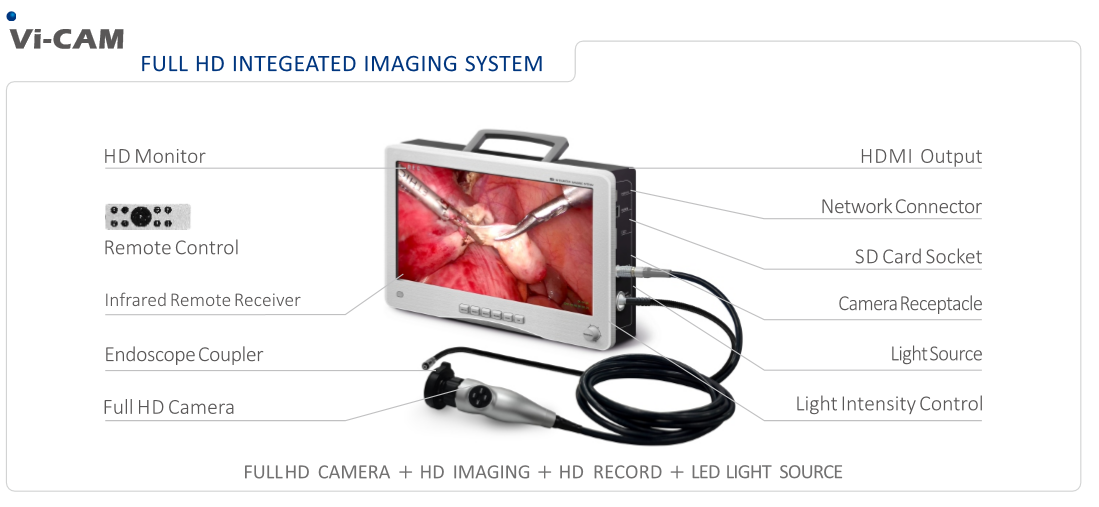 Integrated Endoscopy Imaging System for Veterinary Diagnosis - EasiMed